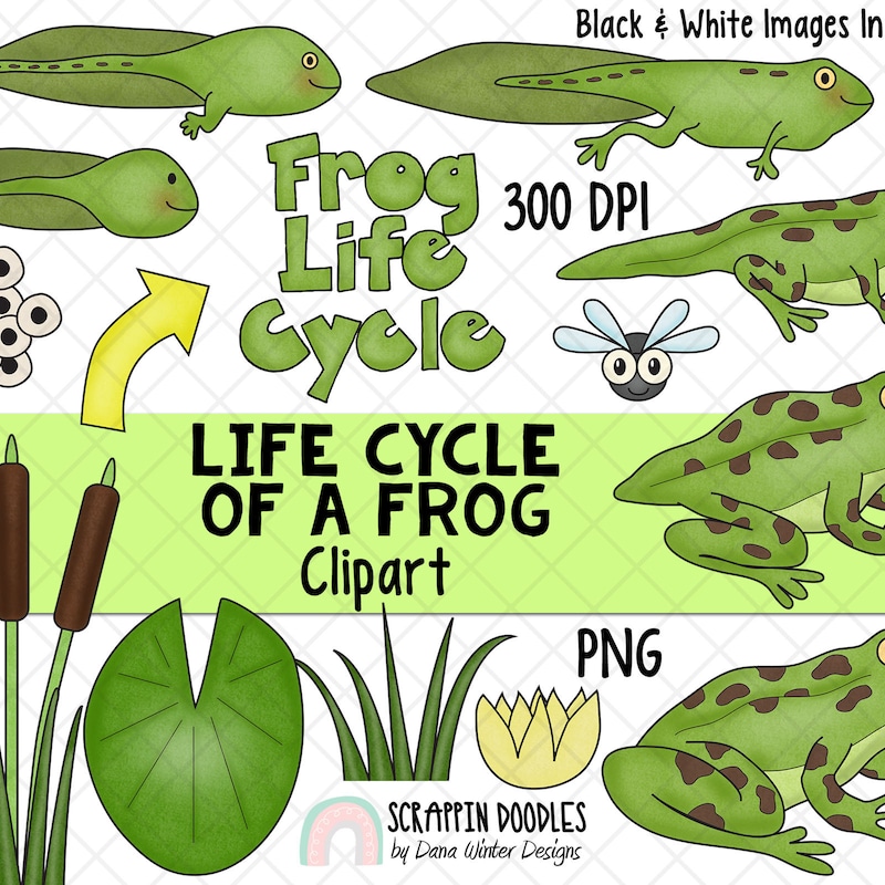 Pond Clipart - Etsy