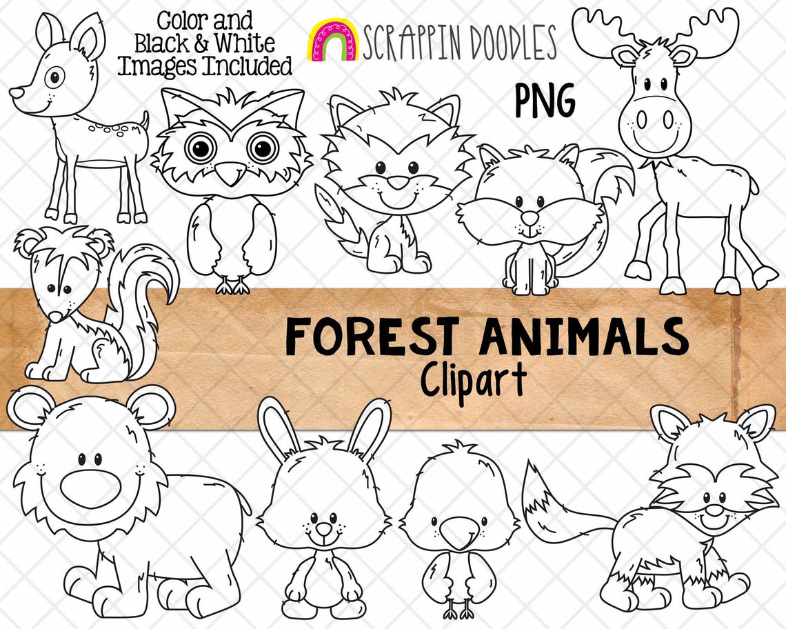 Forest Animals Clipart Woodland Brown Bear Moose Raccoon Fox PNG ...