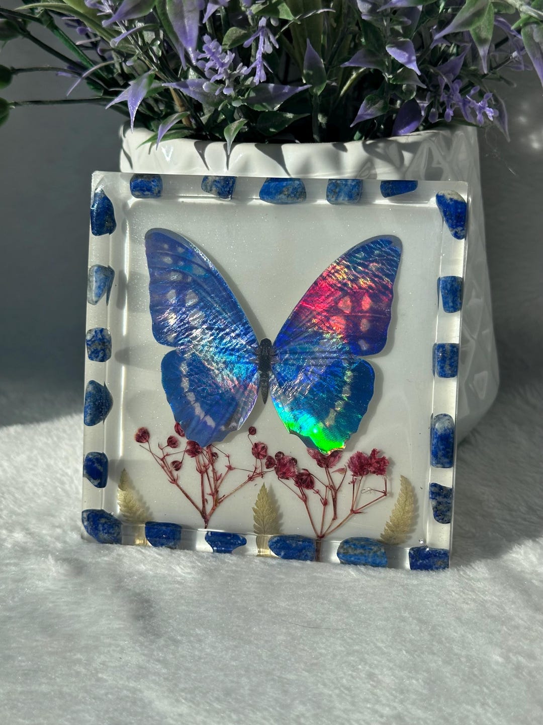 Holo Morpho Butterfly Coaster / Tray - Etsy