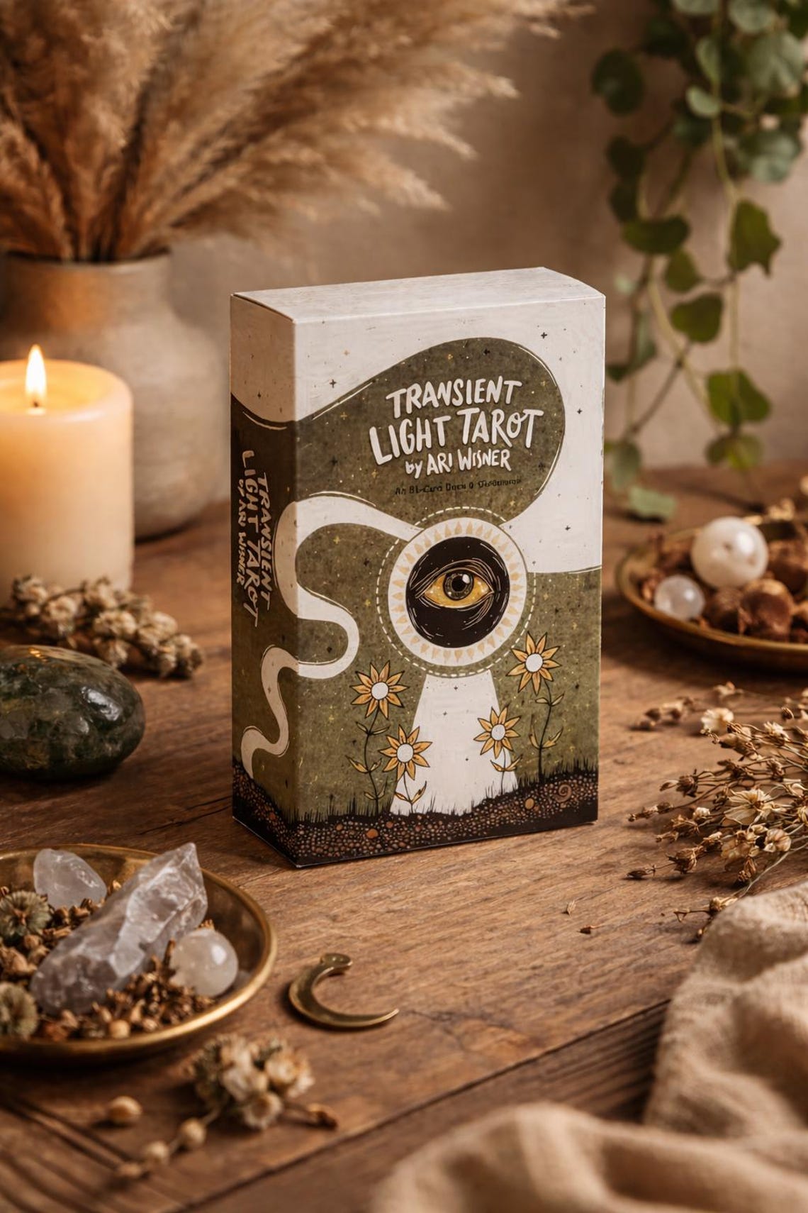 The Transient Light Tarot by Ari Wisner | 78 Card Indie Tarot Deck for ...