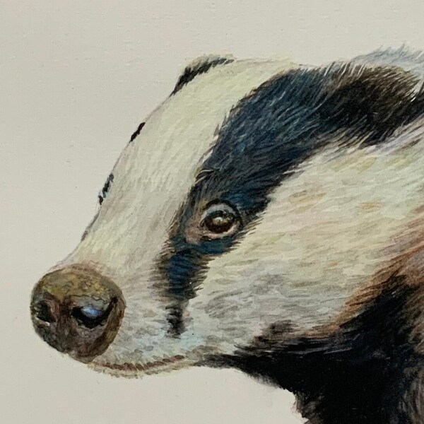 Badger Painting - Etsy