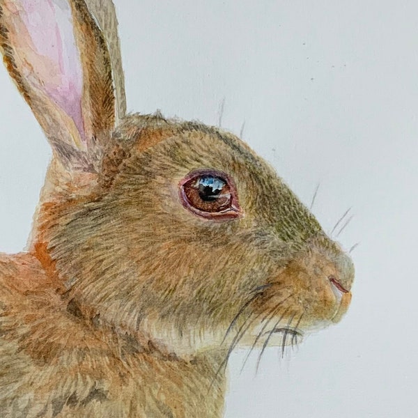 Watership Down - Etsy