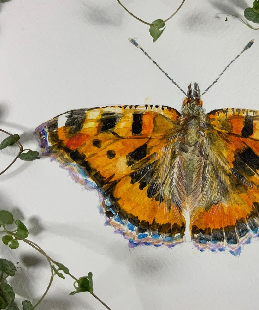 One of One. Large Hyper Realistic Butterfly.original Entomology ...