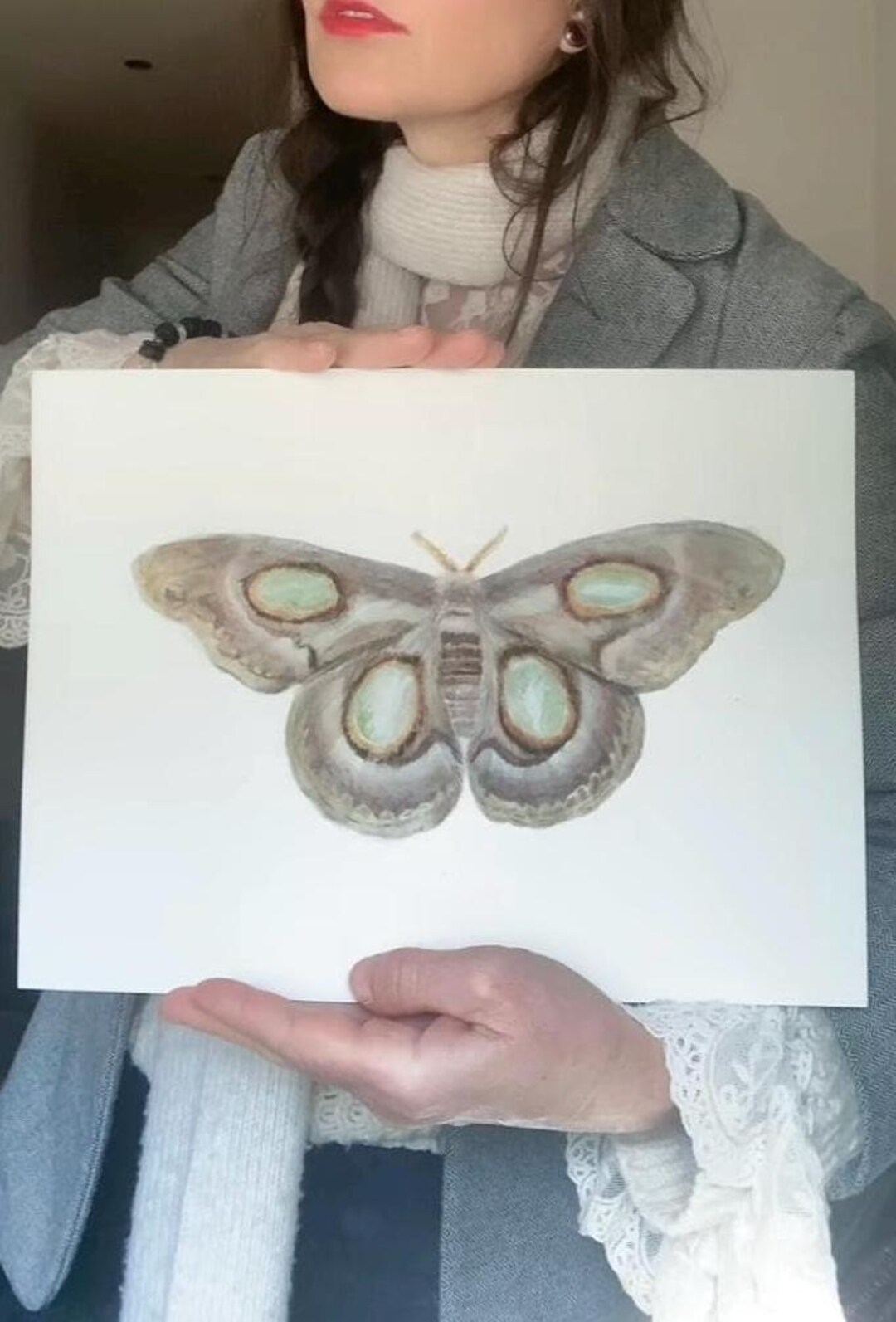 Original Watercolour Painting of a Moth . Own This Detailed Moth ...