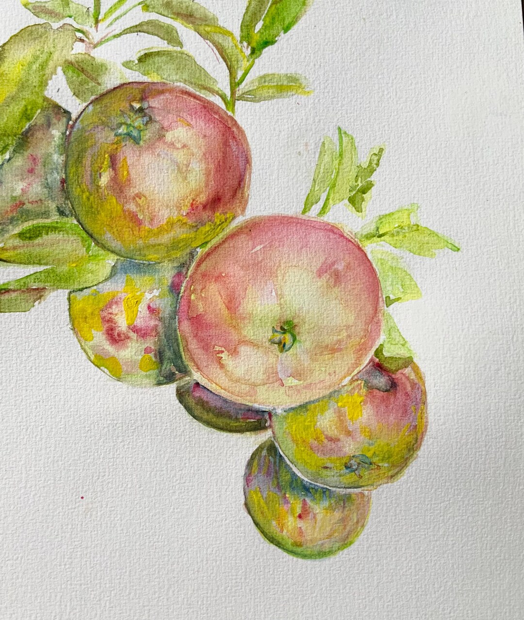 Actual Original Loose Watercolor Painting of a Fruit. OOAK. Pure ...