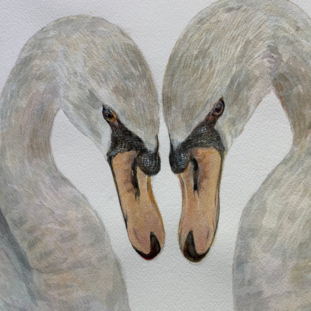 Original One of One Watercolor Painting of Two Swans in Love. One of a ...