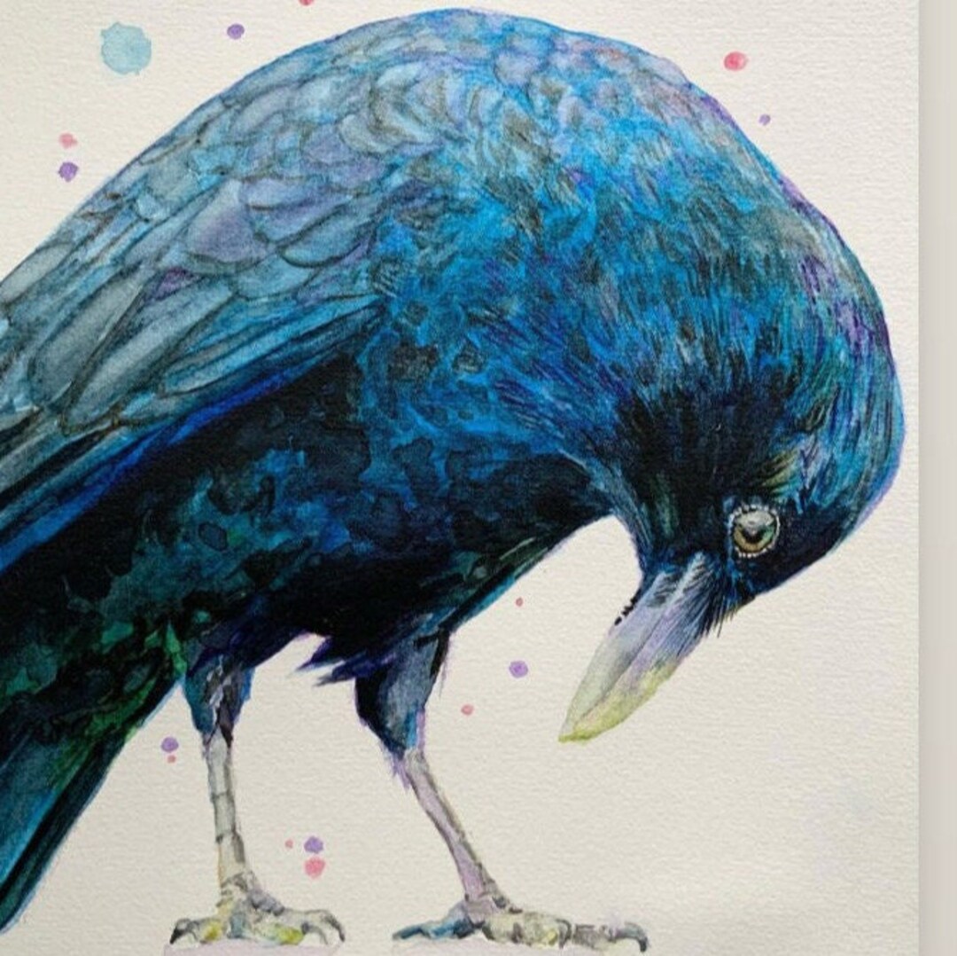 Raven Hand Painted Watercolour Painting. - Etsy