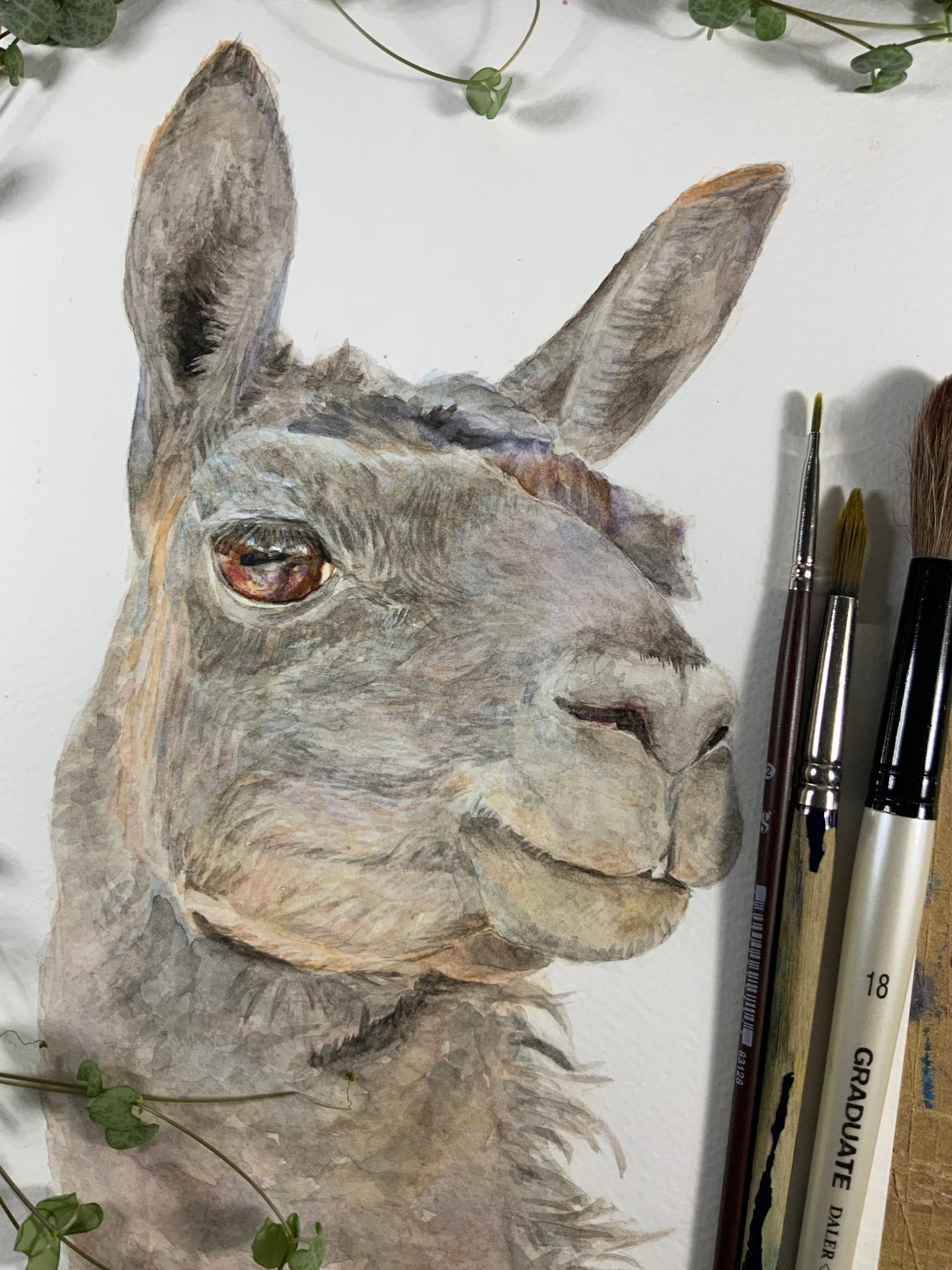 Original Hand Painted Watercolor Painting. Llama Wall Art. Alpaca Art ...