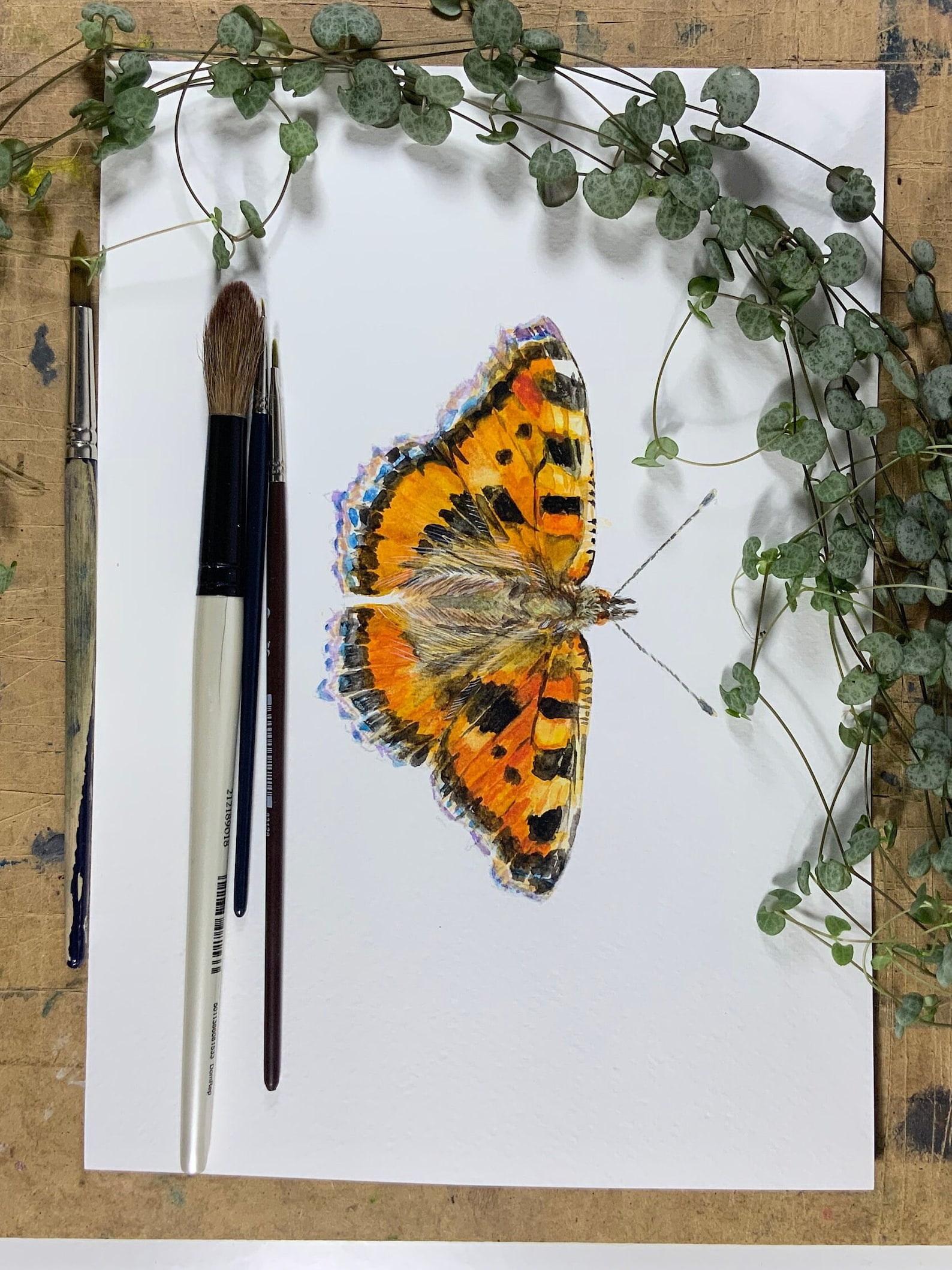 REPAINT Watercolour Butterfly. Museum Style Painting. Lepidopterist ...