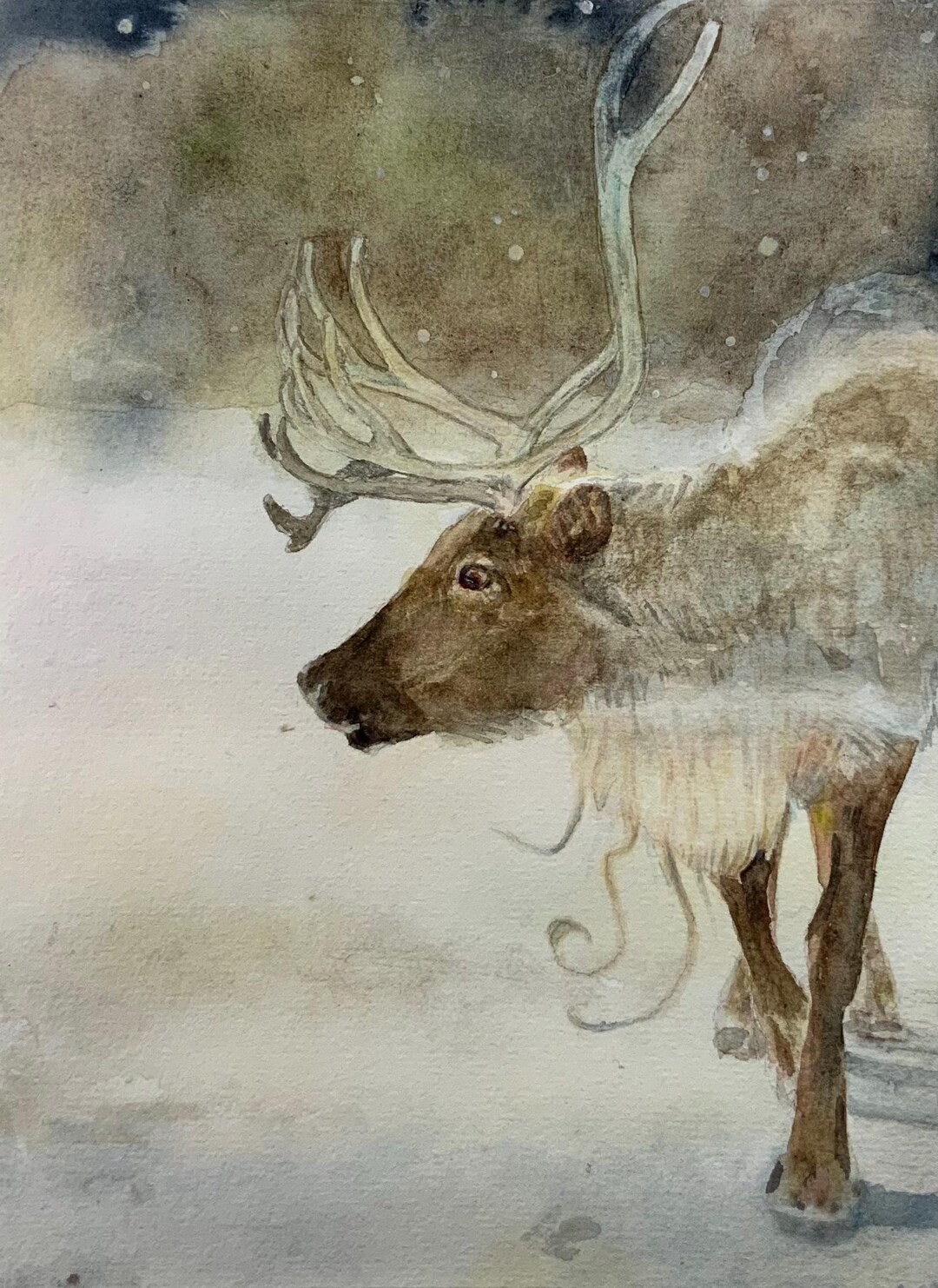 Hand-painted Watercolour Painting. Reindeer - Etsy