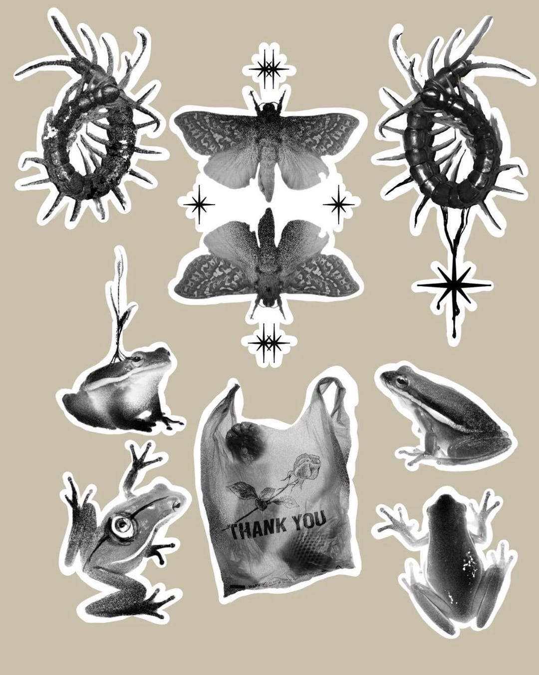 Gothic Frog and Moth Sticker Sheet - Etsy