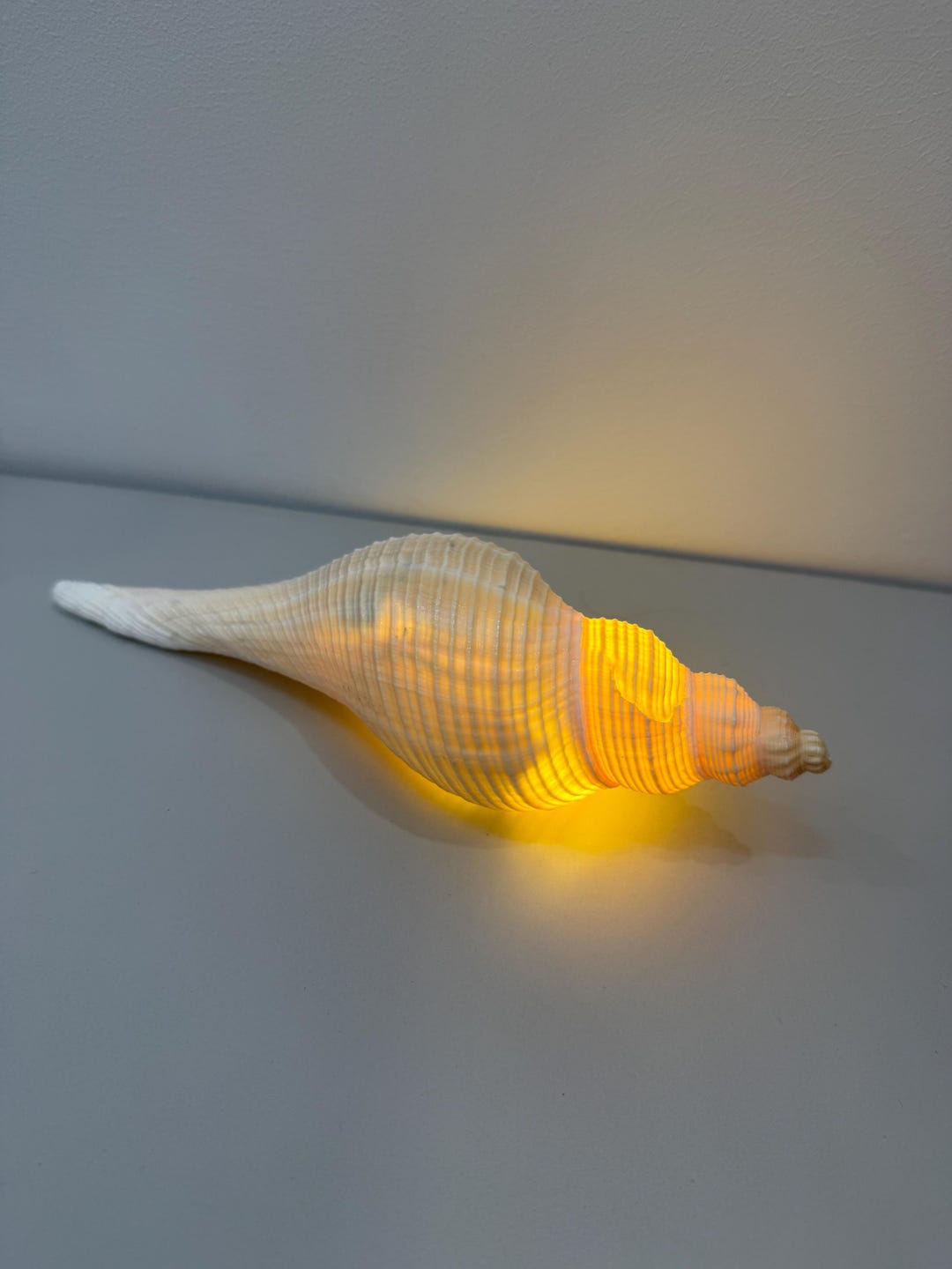 Glowing Conch Shell Lamp, Cozy Ocean Decor - Etsy