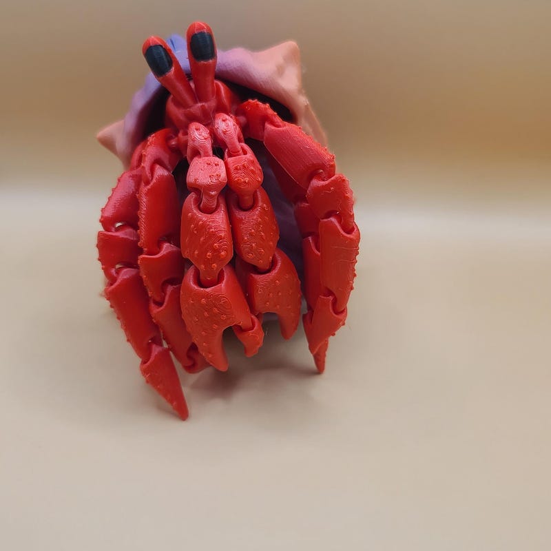 3d Print Hermit Crab Toy - Etsy