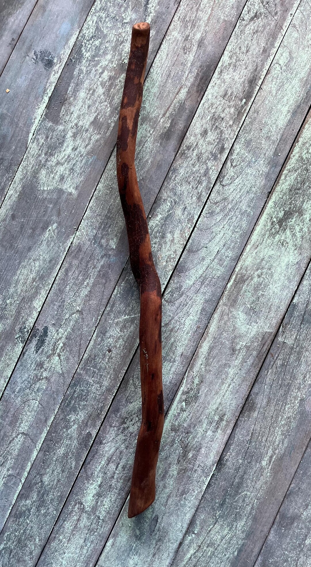 Wand of Bayberry Root Wax Myrtle Tree Wild Crafted Nature Craft Magic ...