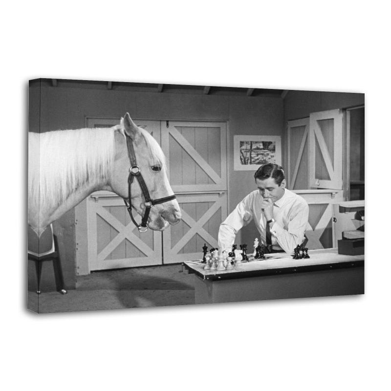 Mr Ed - Etsy