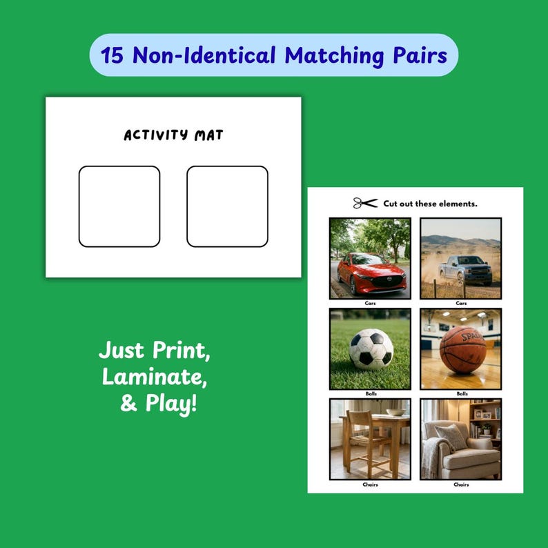 Real Photo Matching Binder: Non-identical & Associations | Special ...