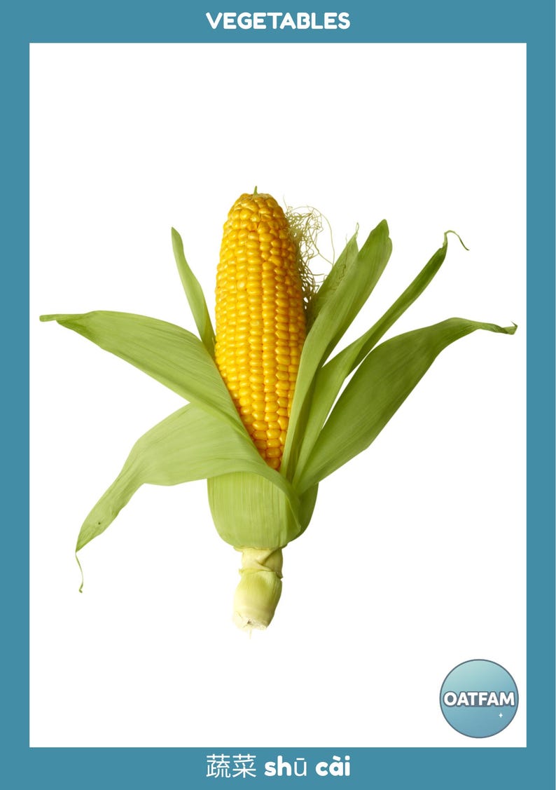 72 Bilingual Fruit & Vegetable Flashcards – English Mandarin, Real ...