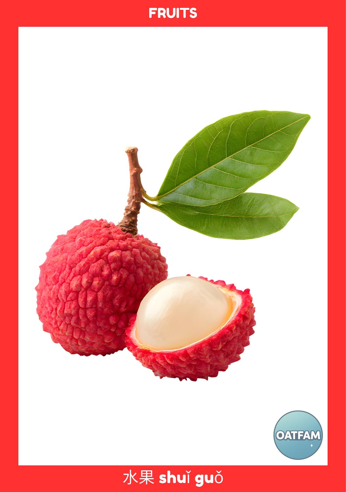 72 Bilingual Fruit & Vegetable Flashcards – English Mandarin, Real ...