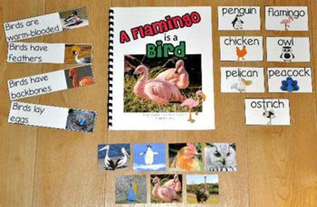 Birds Adapted Book: Visual Learning With Real Photos (digital) - Etsy