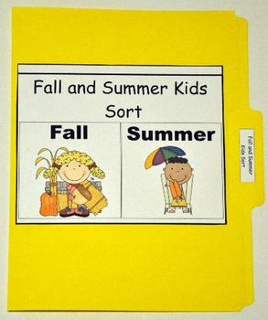 Seasonal File Folder Game - Fall and Summer Sorting for Kids - Etsy