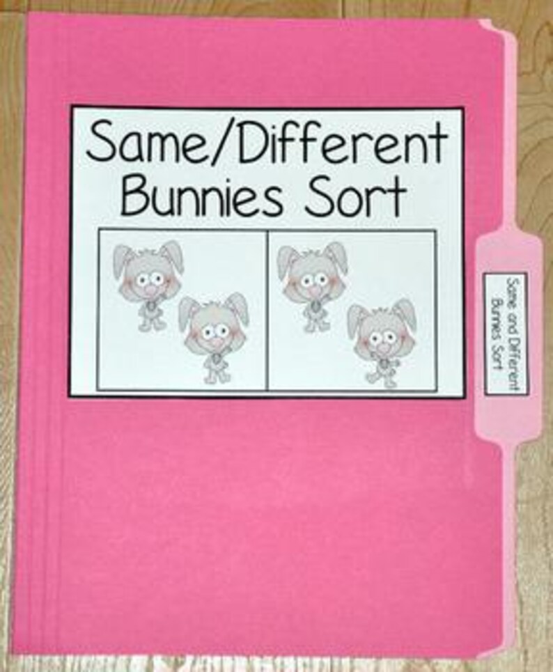 Bunny Sorting Game: Same and Different Concepts (printable File Folder ...