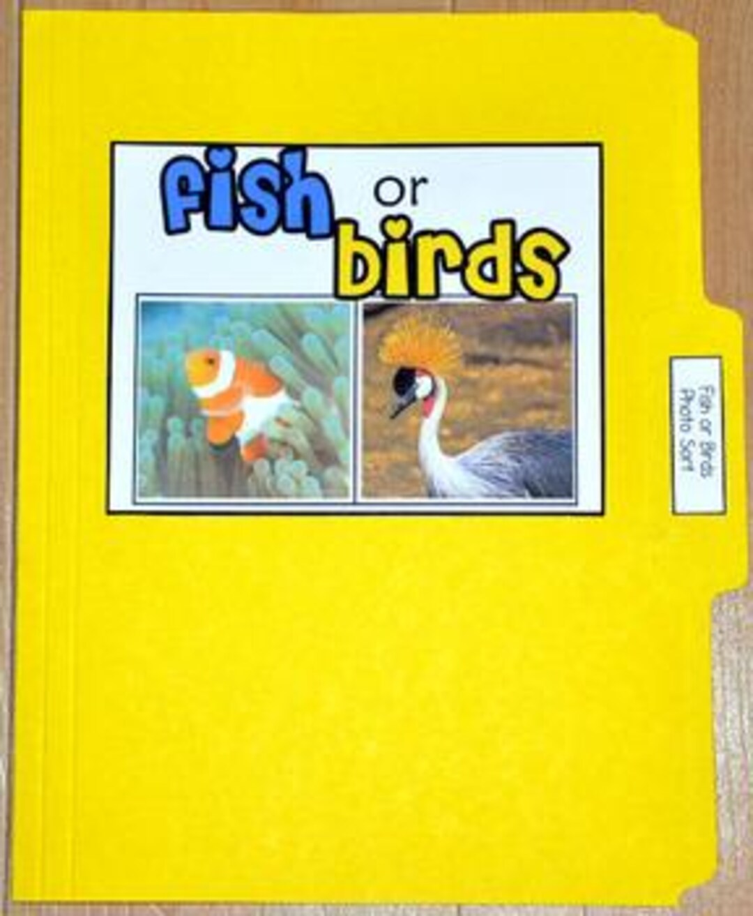 File Folder Sorting Game: Fish and Birds - Real Photos for Kids - Etsy