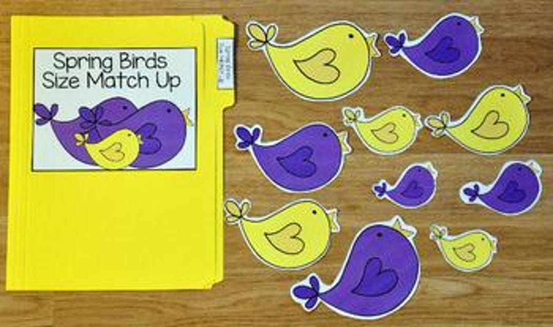 Spring Birds Size Match Game - File Folder Learning Activity - Etsy