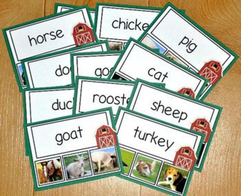 Farm Task Cards: Real Photos and Clip Art - Hands-on Learning - Etsy