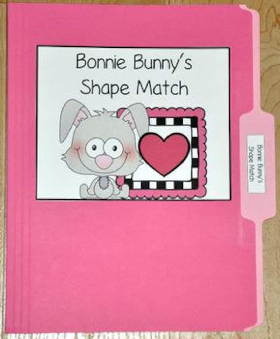 Bunny File Folder Game, Shape Matching (easter Theme, Preschool) - Etsy
