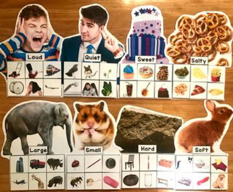 5 Senses Sorting Mats: Hands-on Visual and Tactile Learning - Etsy