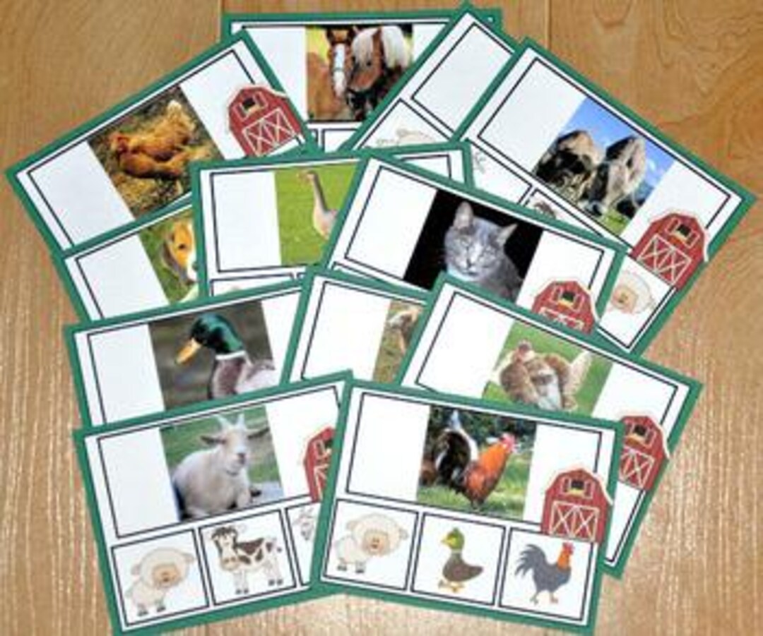 Farm Task Cards: Real Photos and Clip Art - Hands-on Learning - Etsy