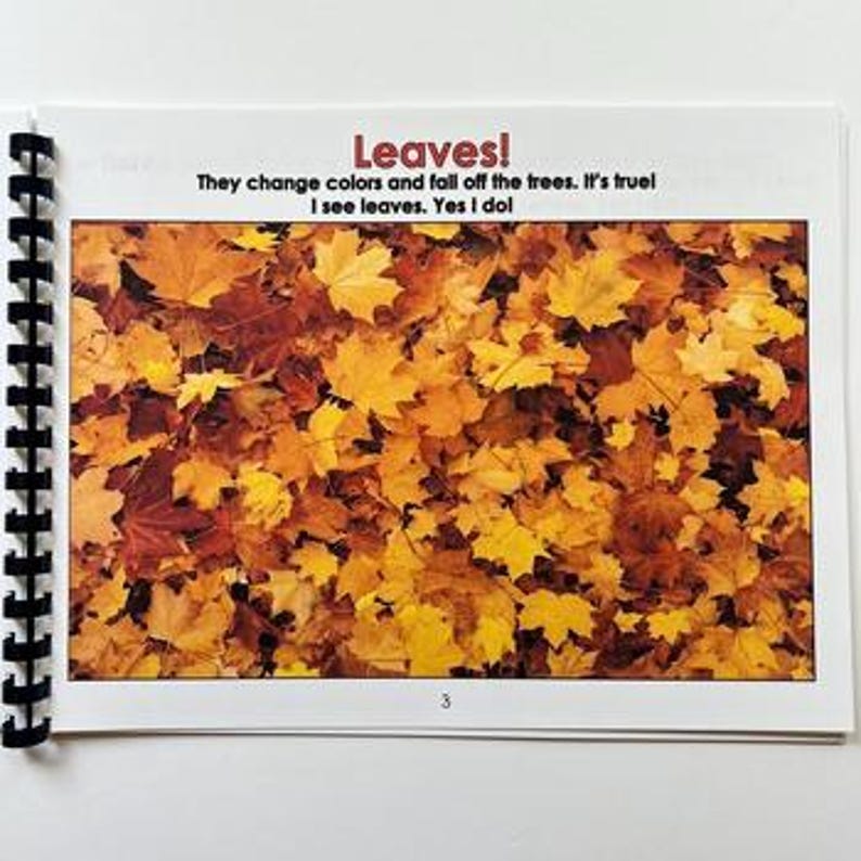 Fall Peek and Seek Book - Real Photos, Vocabulary Game for Kids - Etsy