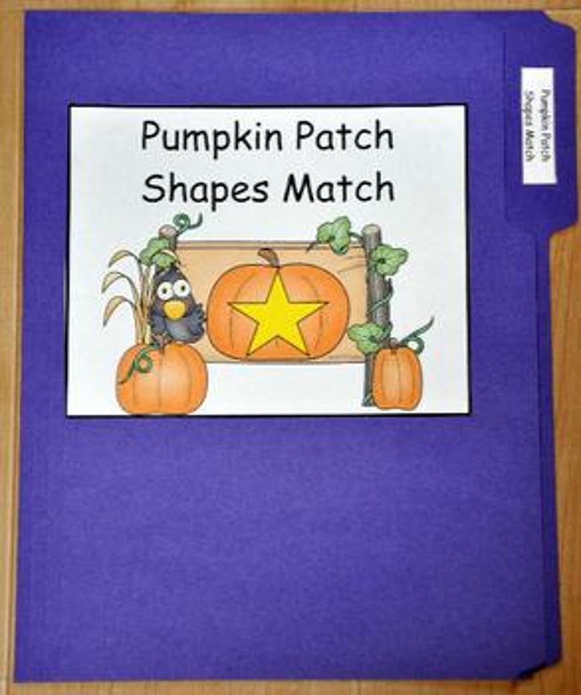 Pumpkin Patch Shapes Match: Fall Learning Game (file Folder Activity ...