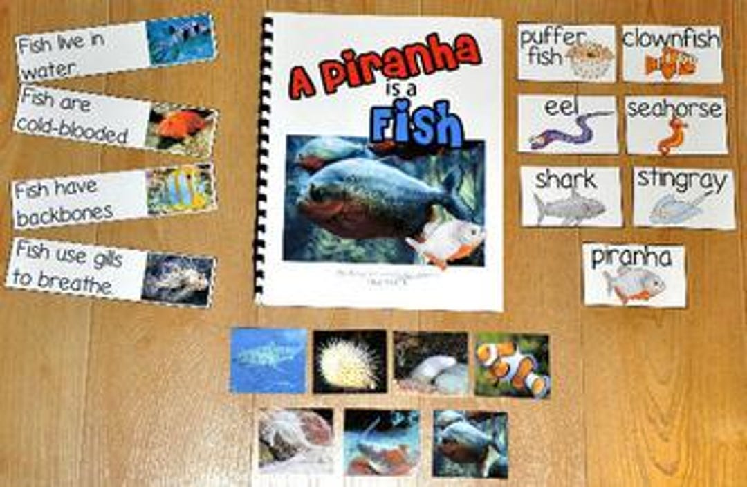 Fish Literacy Book: Real Photos and Interactive Matching (adapted ...