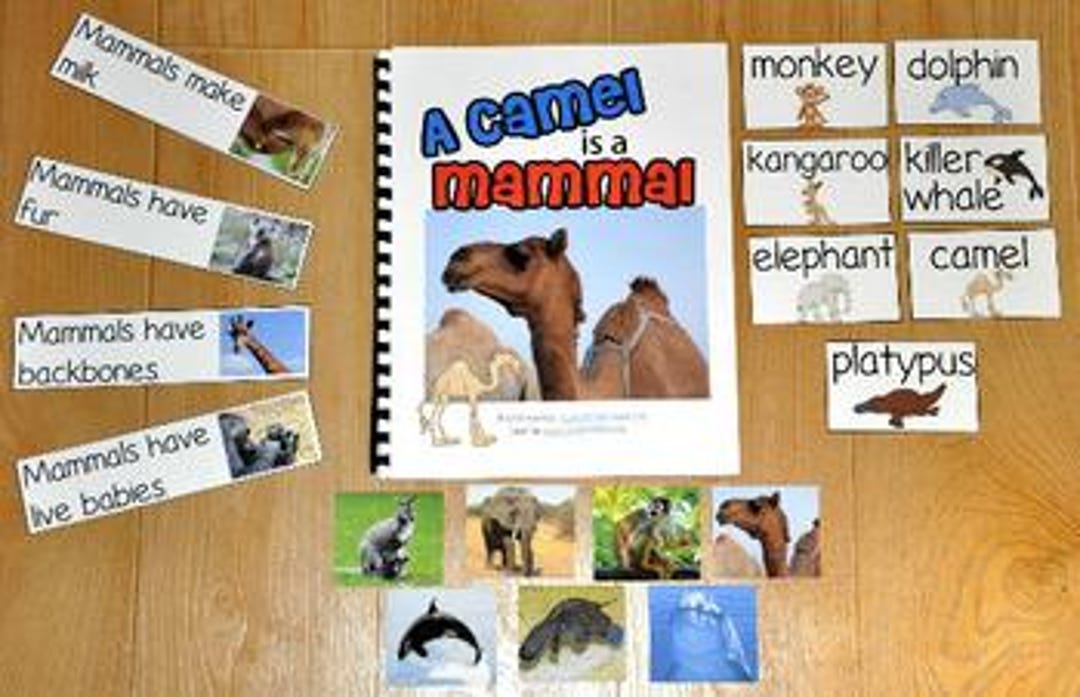 Mammals Adapted Book - Real Photos and Basic Reading Skills - Etsy UK