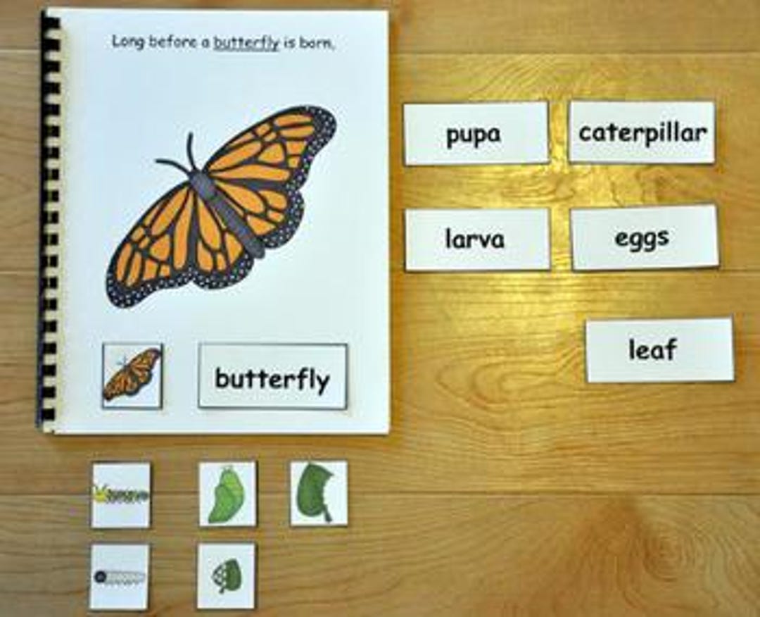 Butterfly Life Cycle Book: Color and Black-white Pages - Adapted ...