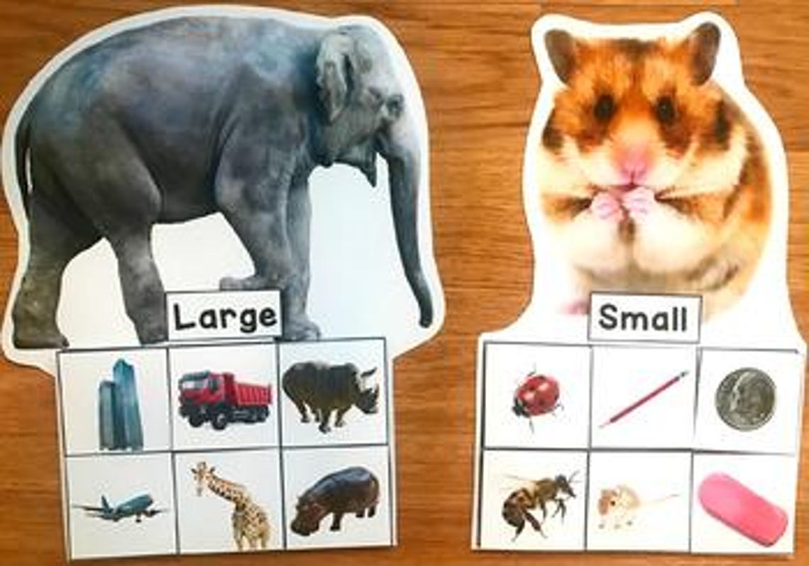 5 Senses Sorting Mats: Hands-on Visual and Tactile Learning - Etsy