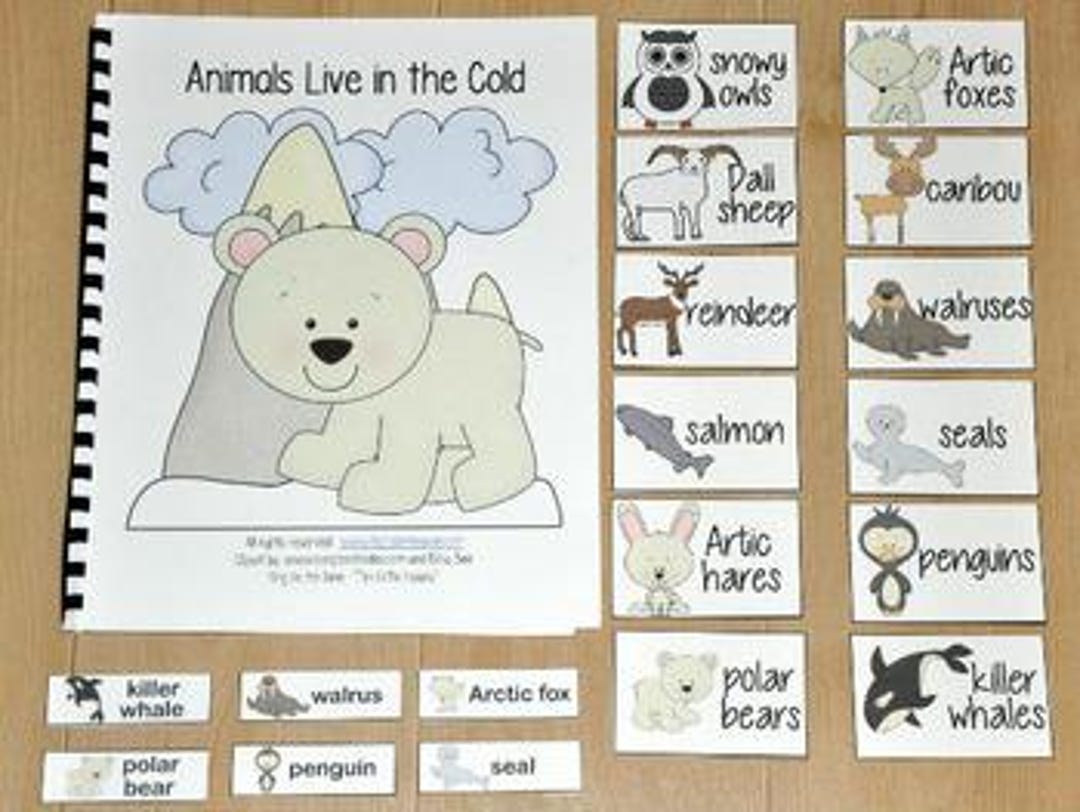 Adapted Song Book: Winter Animals - Easy Learning With Pictures - Etsy