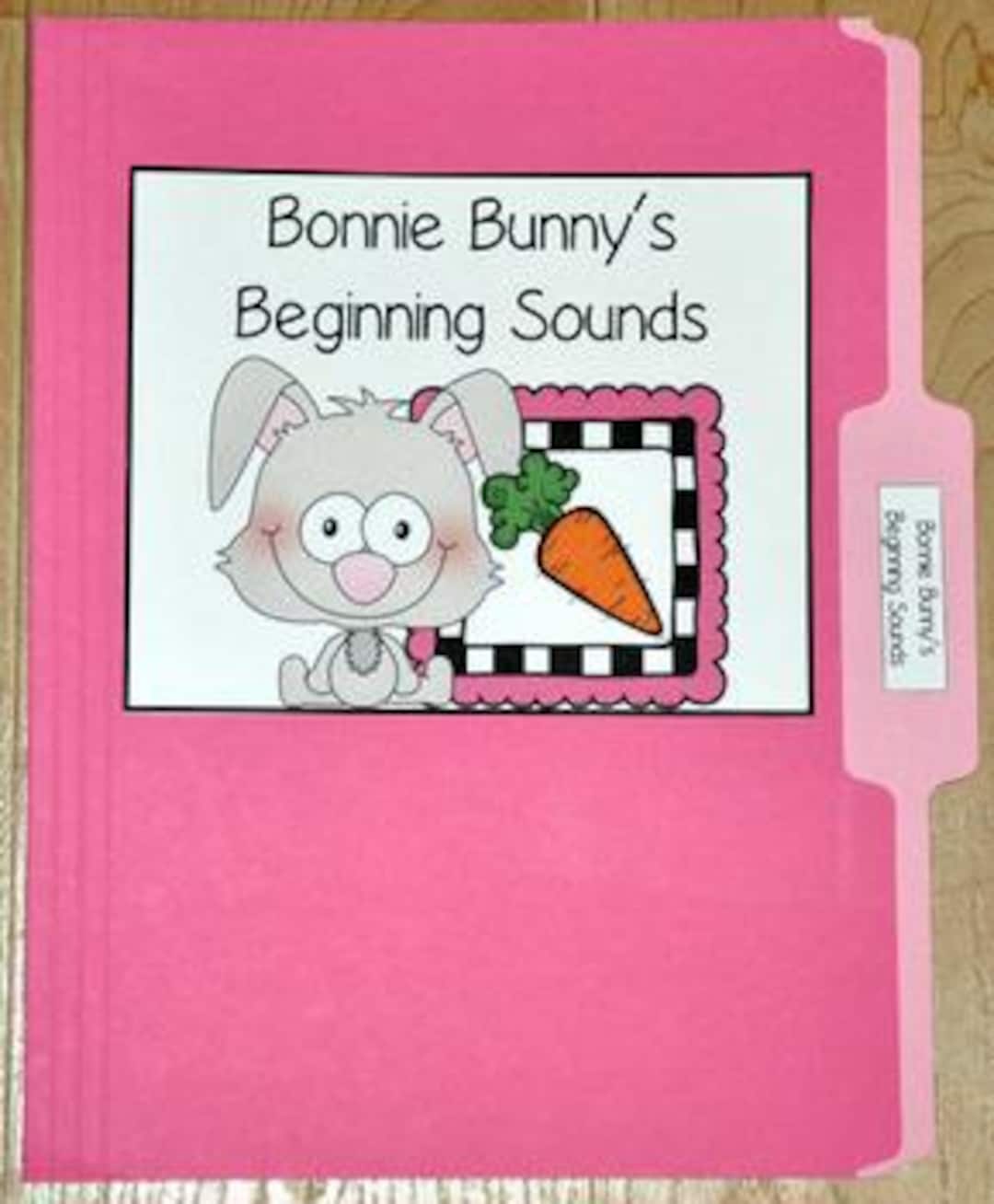 Bunny Beginning Sounds Game - Easter Phonics File Folder Activity - Etsy