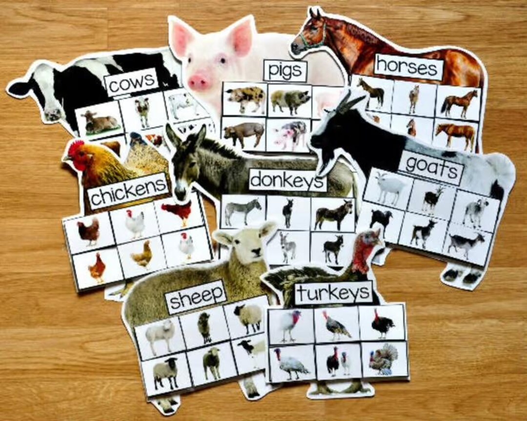 Farm Animal Sorting Mats: Real Photo Matching Game for Kids - Etsy