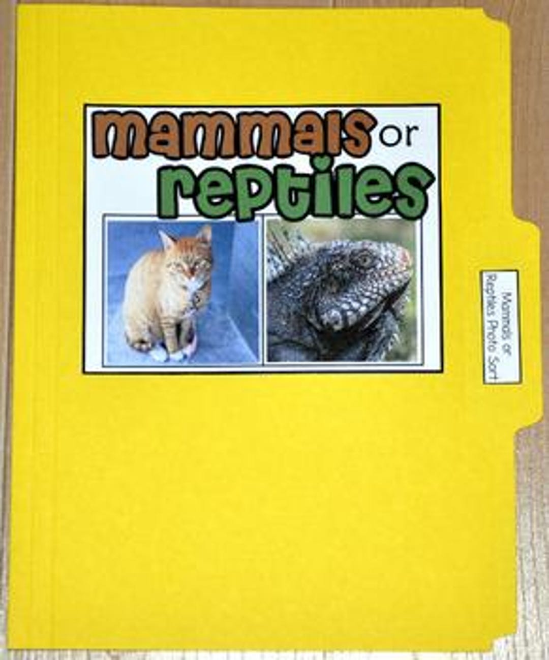 Animal Sorting Game: Mammals and Reptiles (photo-based Learning) - Etsy