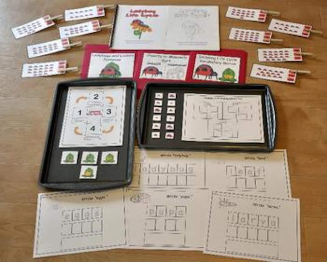 Adapted Science Unit: Ladybug Life Cycle - Interactive Learning Kit - Etsy