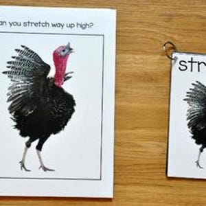 Turkey Movement Activity: Cards and Book - Fall Classroom Fun - Etsy
