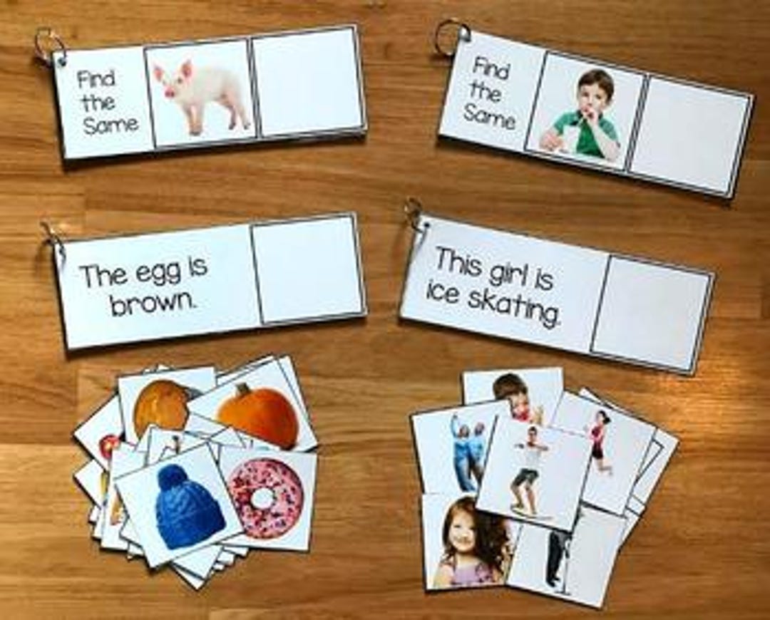 Sentence Matching Activities: Visual Learning With Real Photos (4 Flip ...