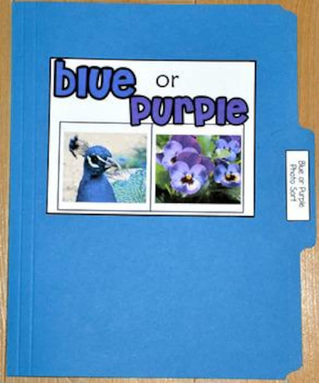 Color Sorting File Folder Game: Blue and Purple Photo Cards - Etsy