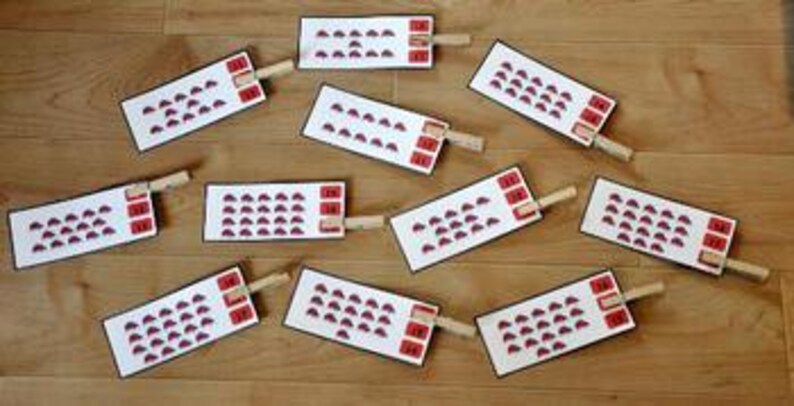 Adapted Science Unit: Ladybug Life Cycle - Interactive Learning Kit - Etsy