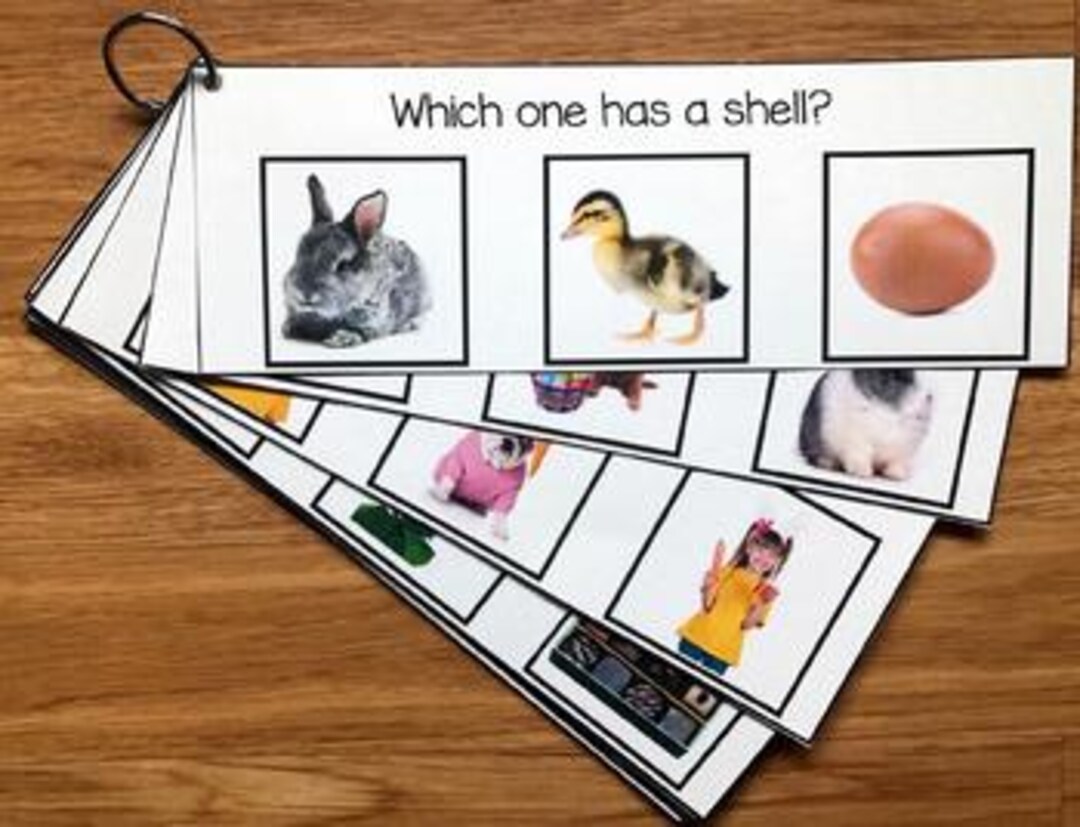 Easter Wh-question Cards - Real Photo Learning for Kids - Etsy