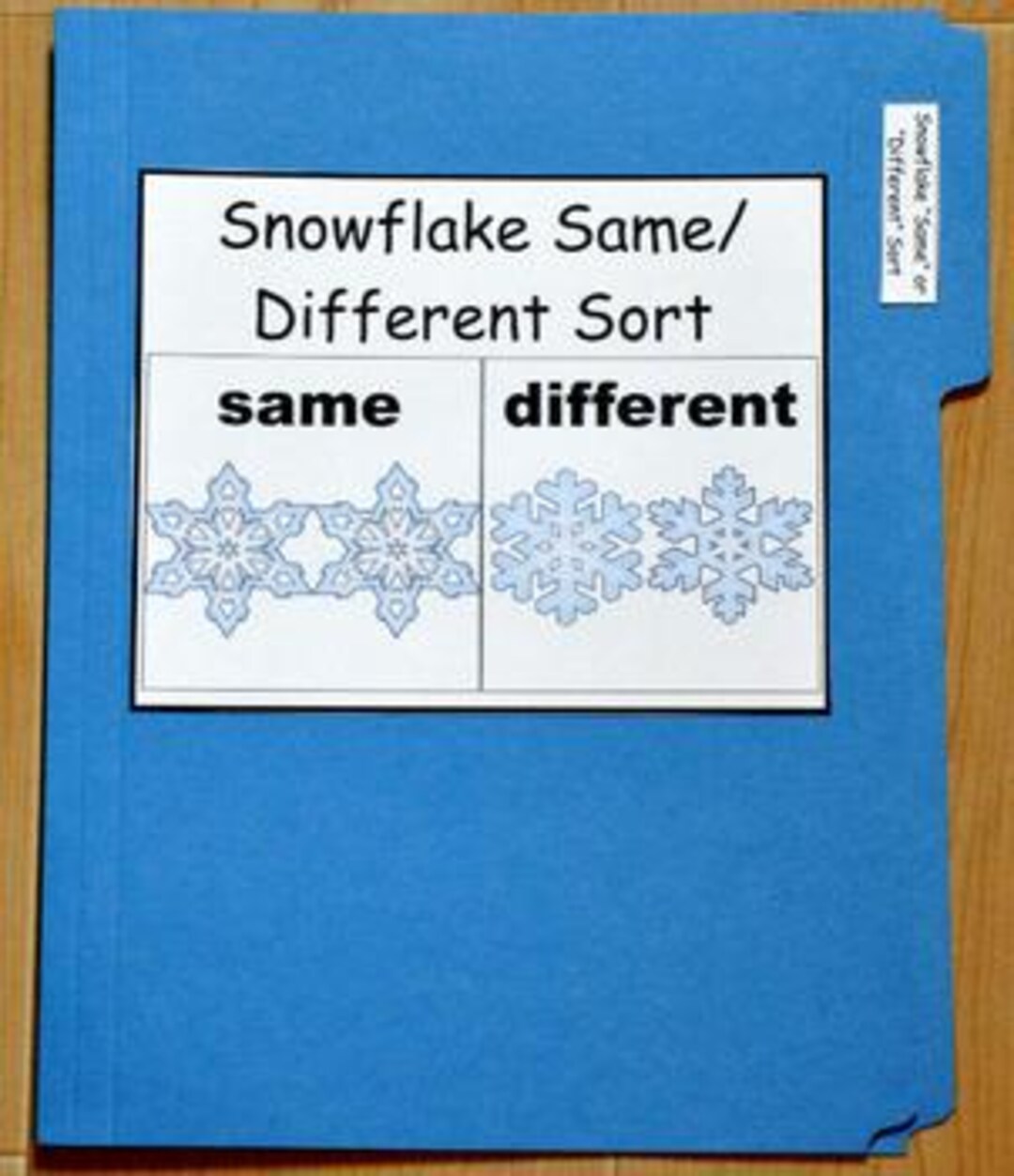 Winter Snowflake Sorting Game, File Folder Activity (early Learners) - Etsy