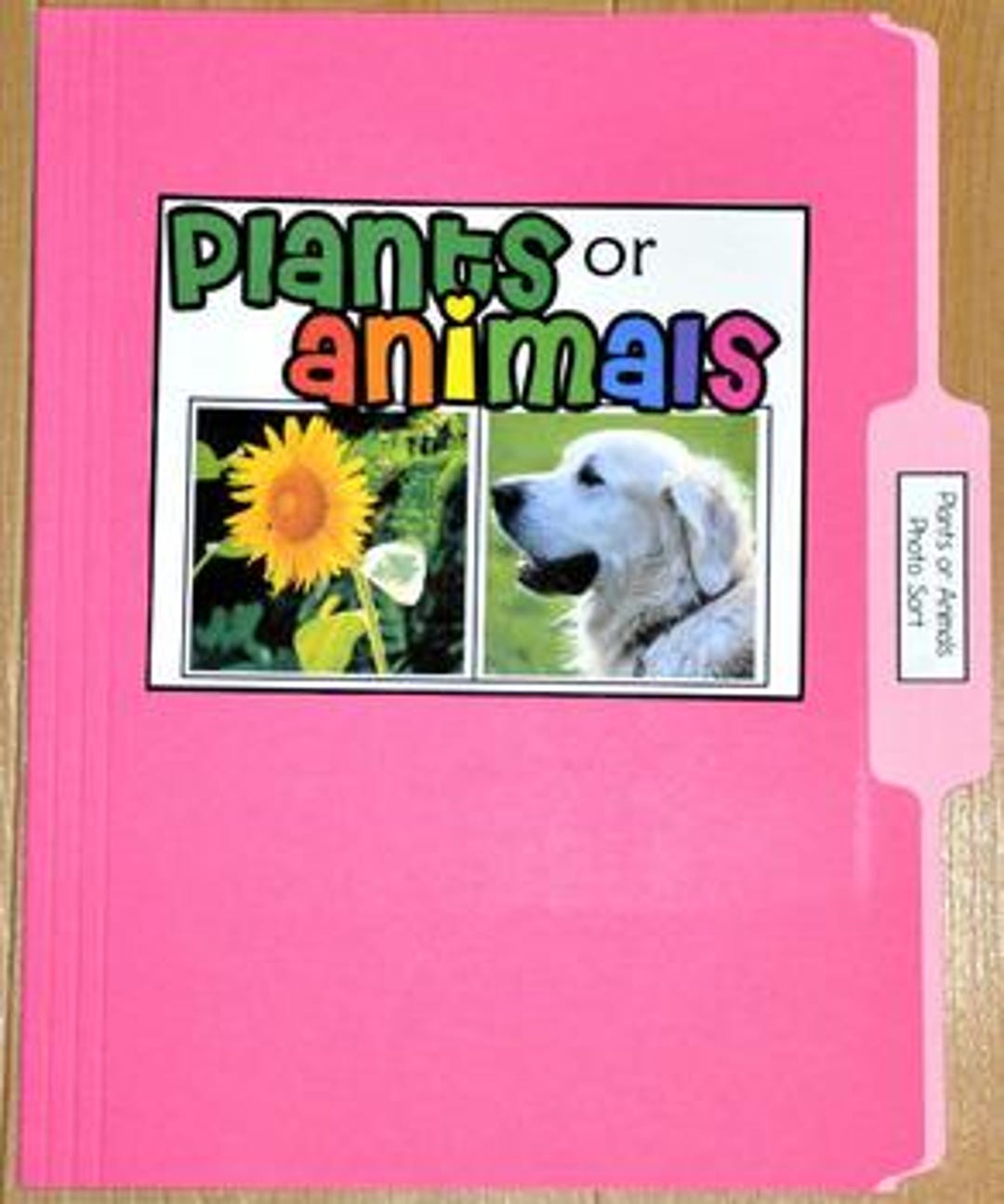 File Folder Sorting Game: Plants and Animals - Early Learning Tool - Etsy