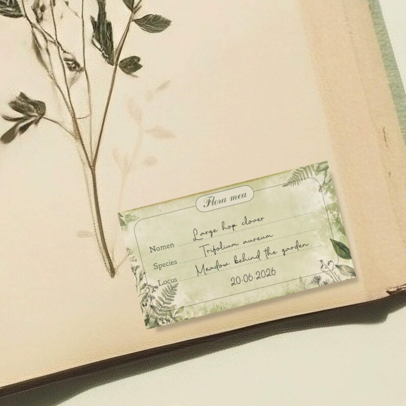 Herbarium Labels Printable | Vintage Botanical Card Set – 3 Options ...